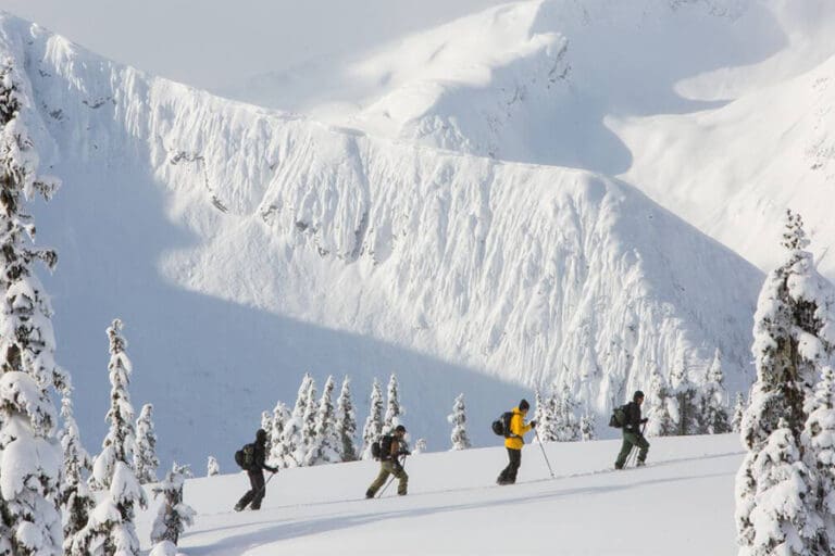 Backcountry & Heli-Skiing | Tourism Terrace