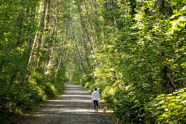 Ferry Island Campground | Tourism Terrace