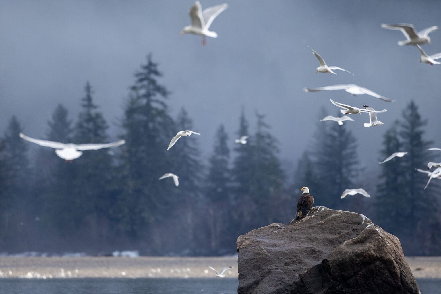 Tourism Terrace | Your Guide to Exploring Terrace, BC